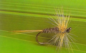 Matching the Hatch Techniques