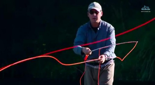 Shooting Head Fly Line Loading