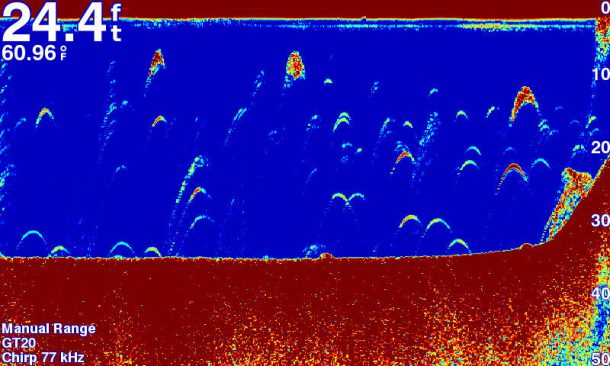 How to read a Fish Finder Screen