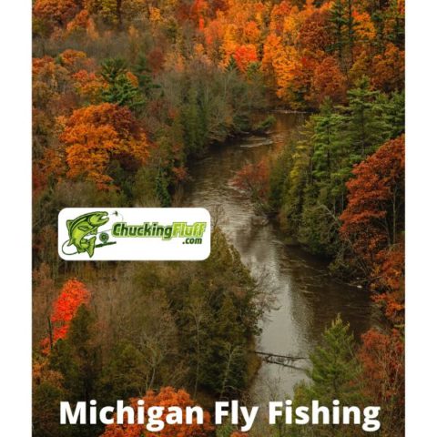Best Fly Fishing in Michigan – Some of the Hot Locations