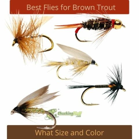 Best Flies for Brown Trout 2025 - Catch more Fish